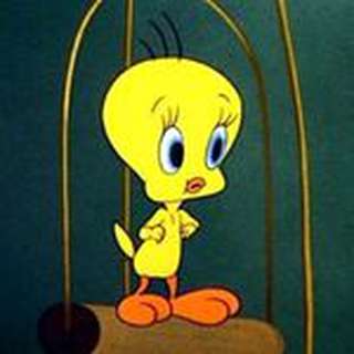 dlwlrma(이지금 IU), 인스타그램 영향력 리포트